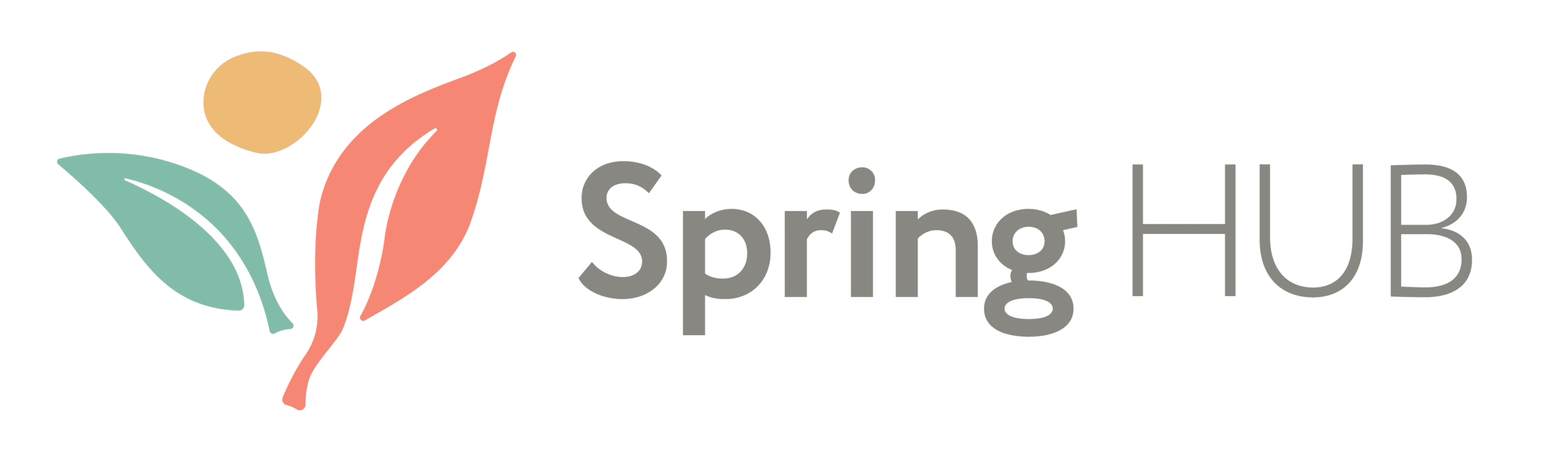 Spring Hub - Spring Lifestyle Support